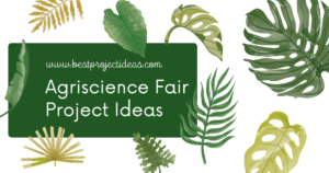 160 Easy Agriscience Fair Project Ideas for Students - Best Project Ideas