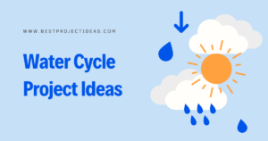 Top 300 Water Cycle Project Ideas for Students - Best Project Ideas